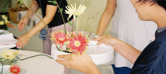 Flower Club International